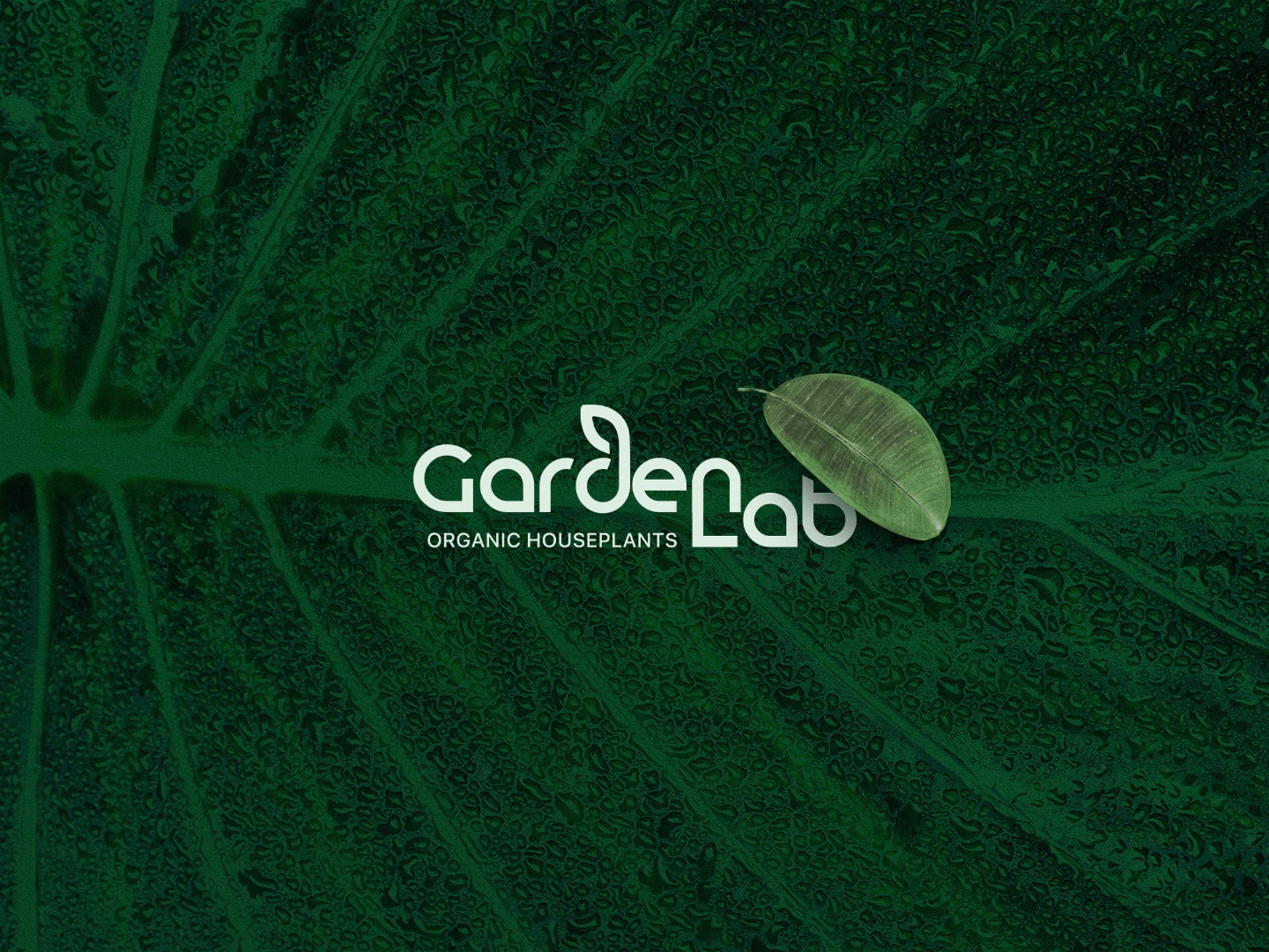 Garden Lab Showcase | ServiSense